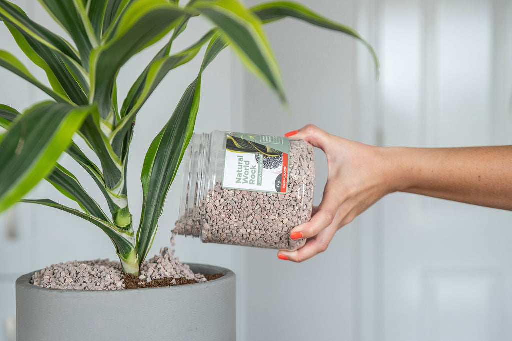 Plant Makeover Kit